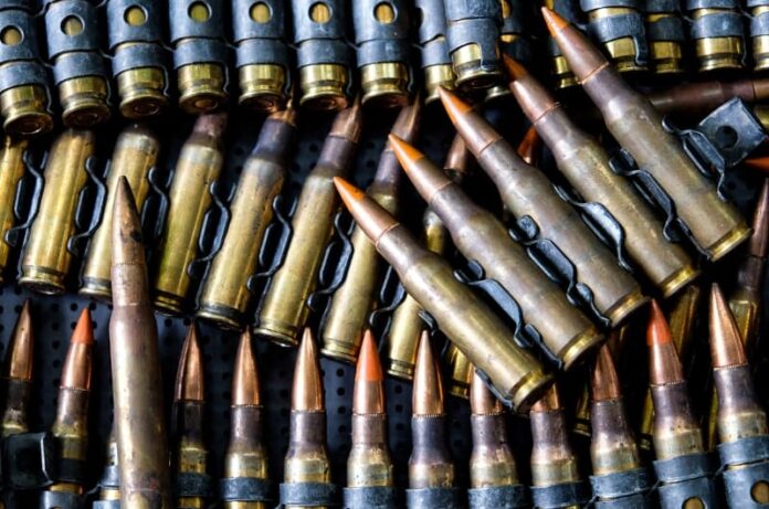Balas de rifles: Tipos y consideraciones - Carril Outdoor - Blog